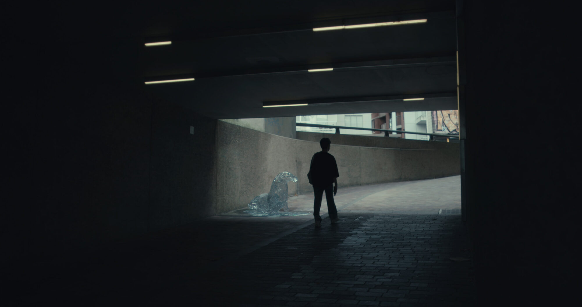 Australian Marine Conservation Society – 60th Anniversary Film