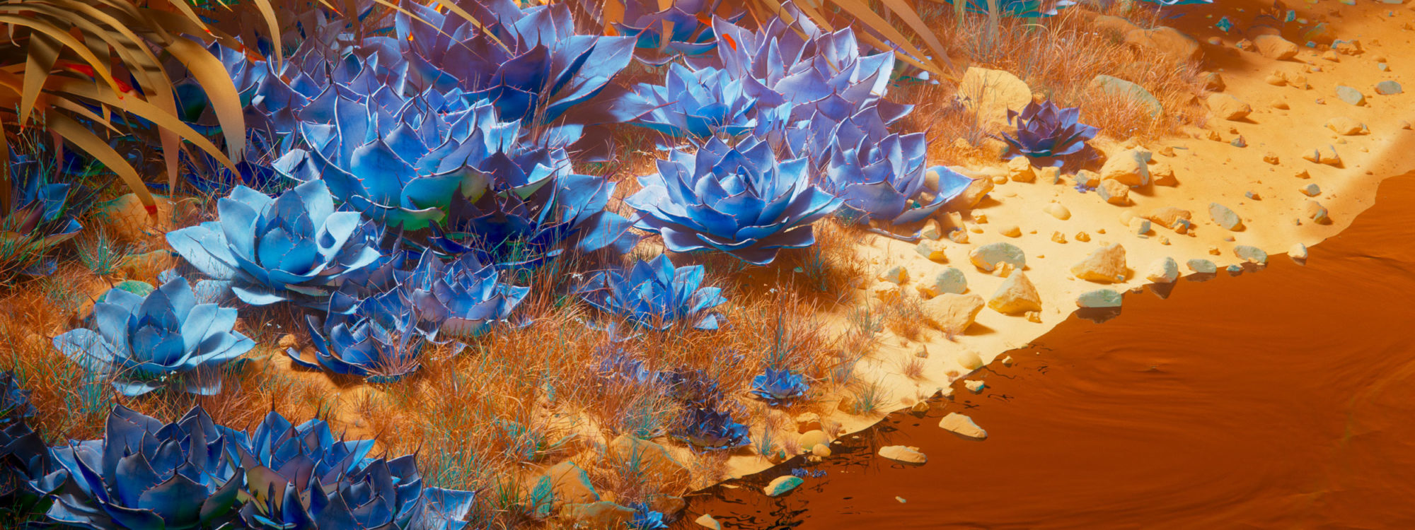 University of New South Wales – Mission For Earth Habitation