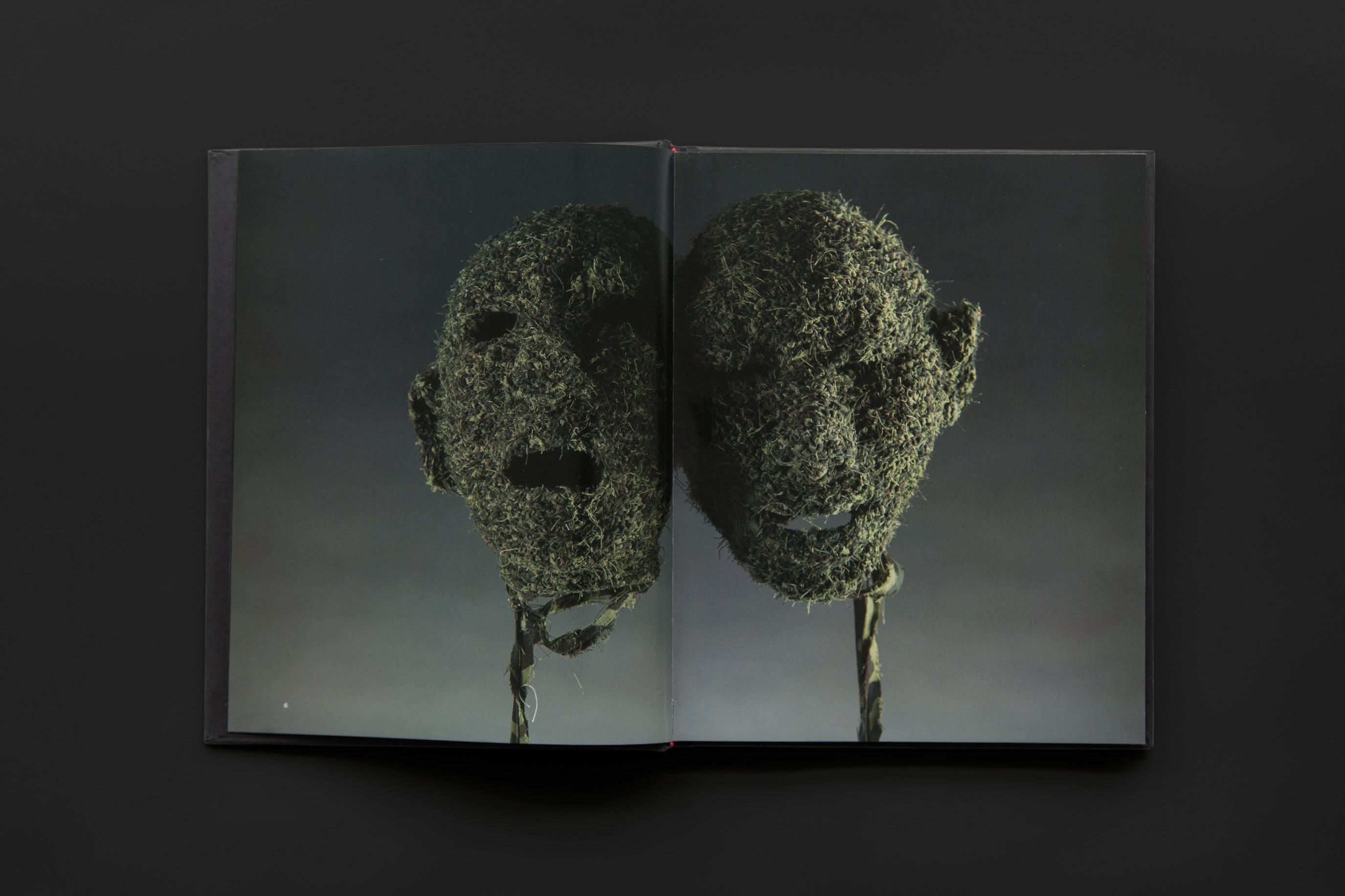 Venice Biennale – Fiona Hall