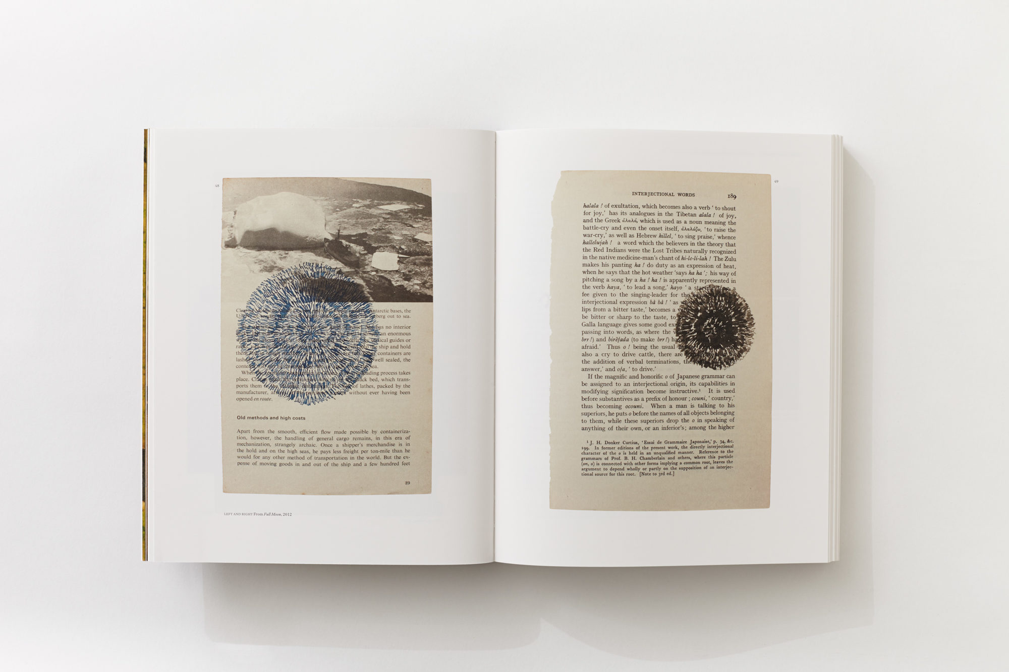 Venice Biennale – Simryn Gill