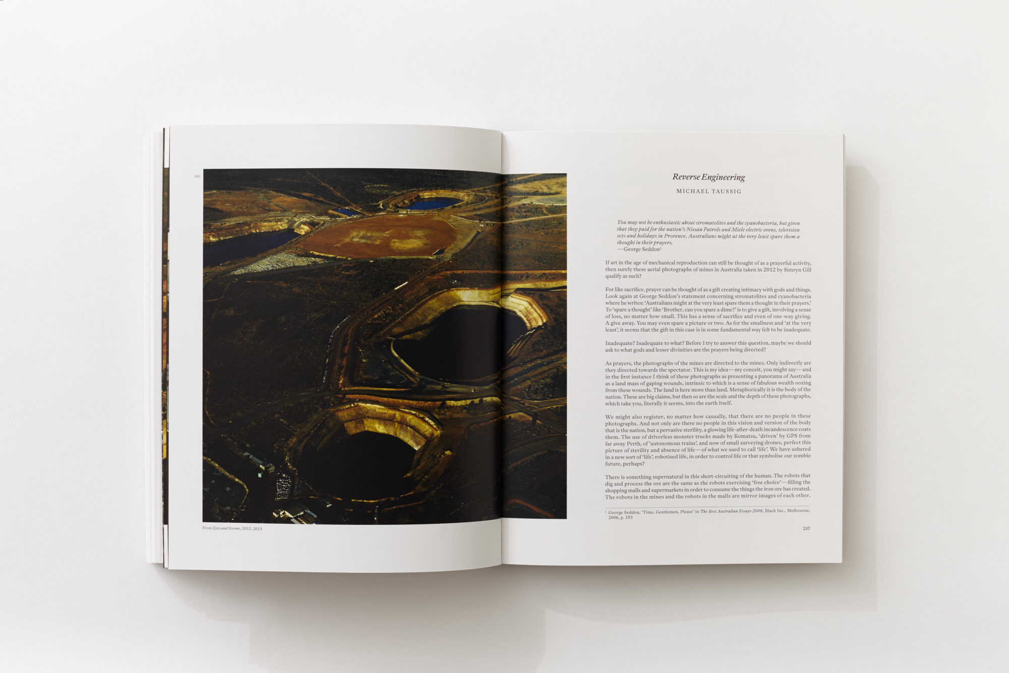 Venice Biennale – Simryn Gill