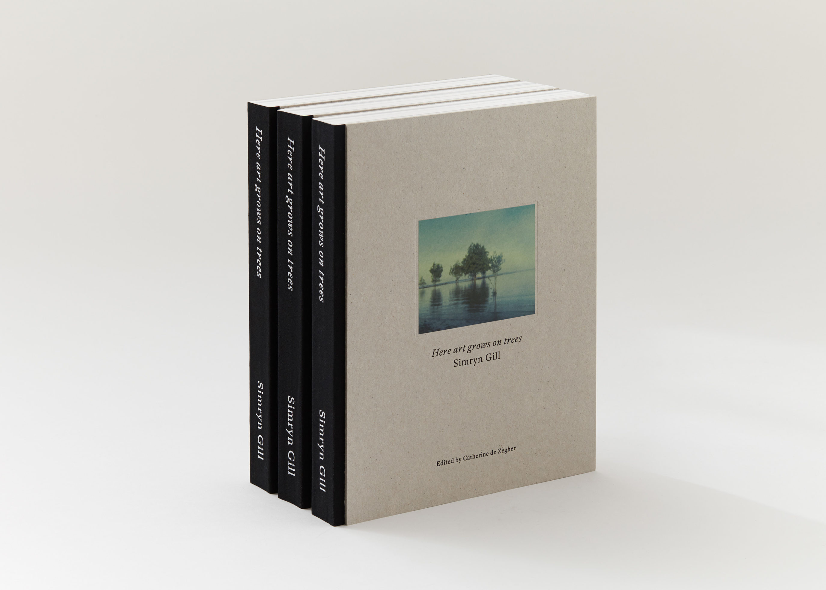 Venice Biennale – Simryn Gill